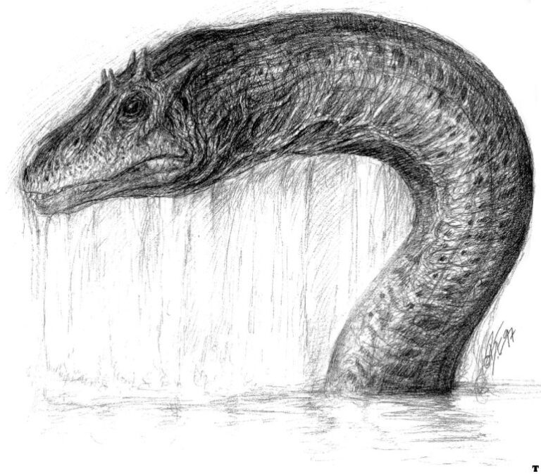 10 Bizarre Mythical Monsters You Should Know About